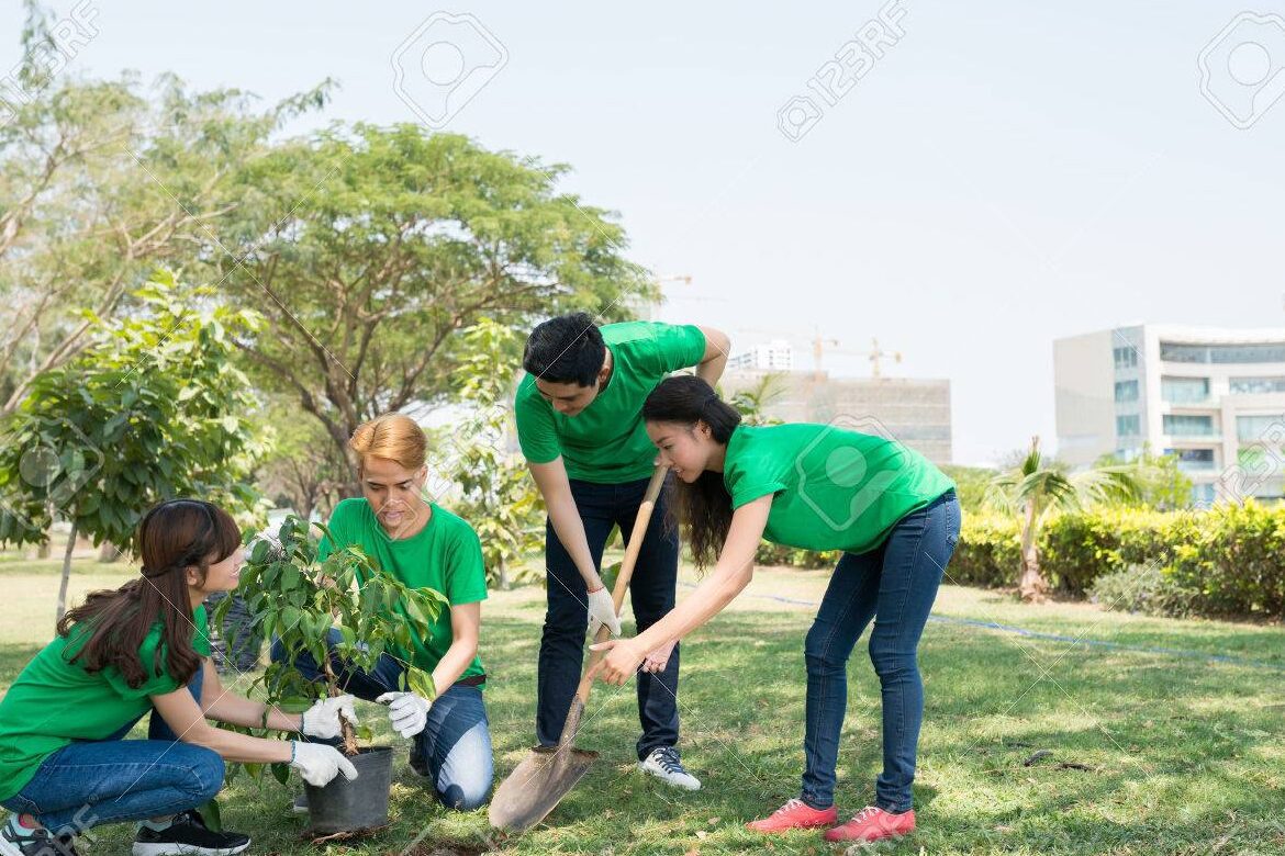 10 formas impactantes de cuidar el medio ambiente en tu comunidad